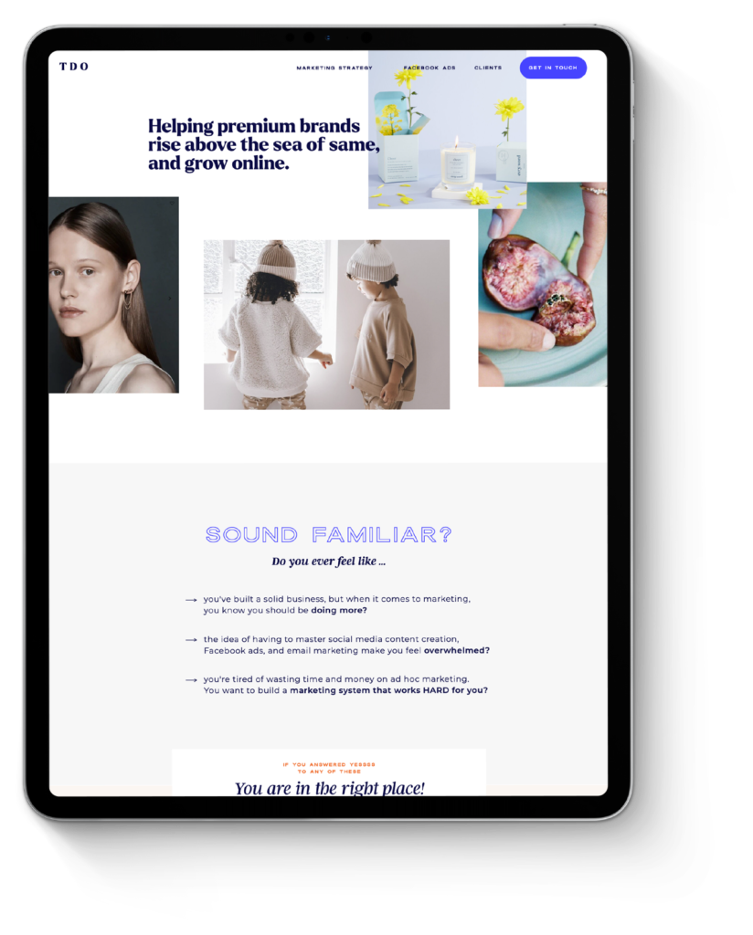 Showcase Feature | The Digital Octopus | Northfolk