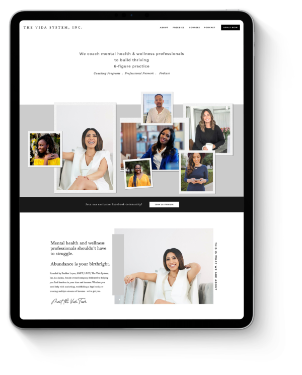 Showcase Feature | The Vida System | Northfolk