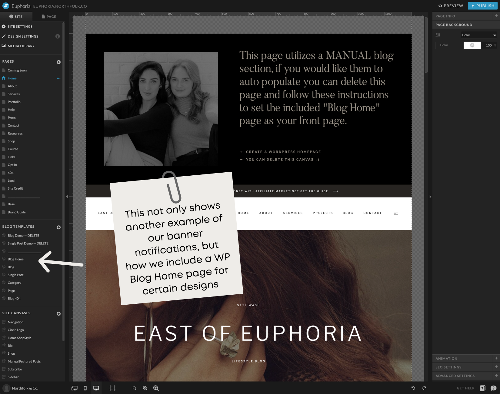 Steal Our Top 5 Tips for Designing Showit Website Templates