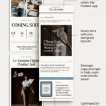 Chronicle Email Templates | Northfolk